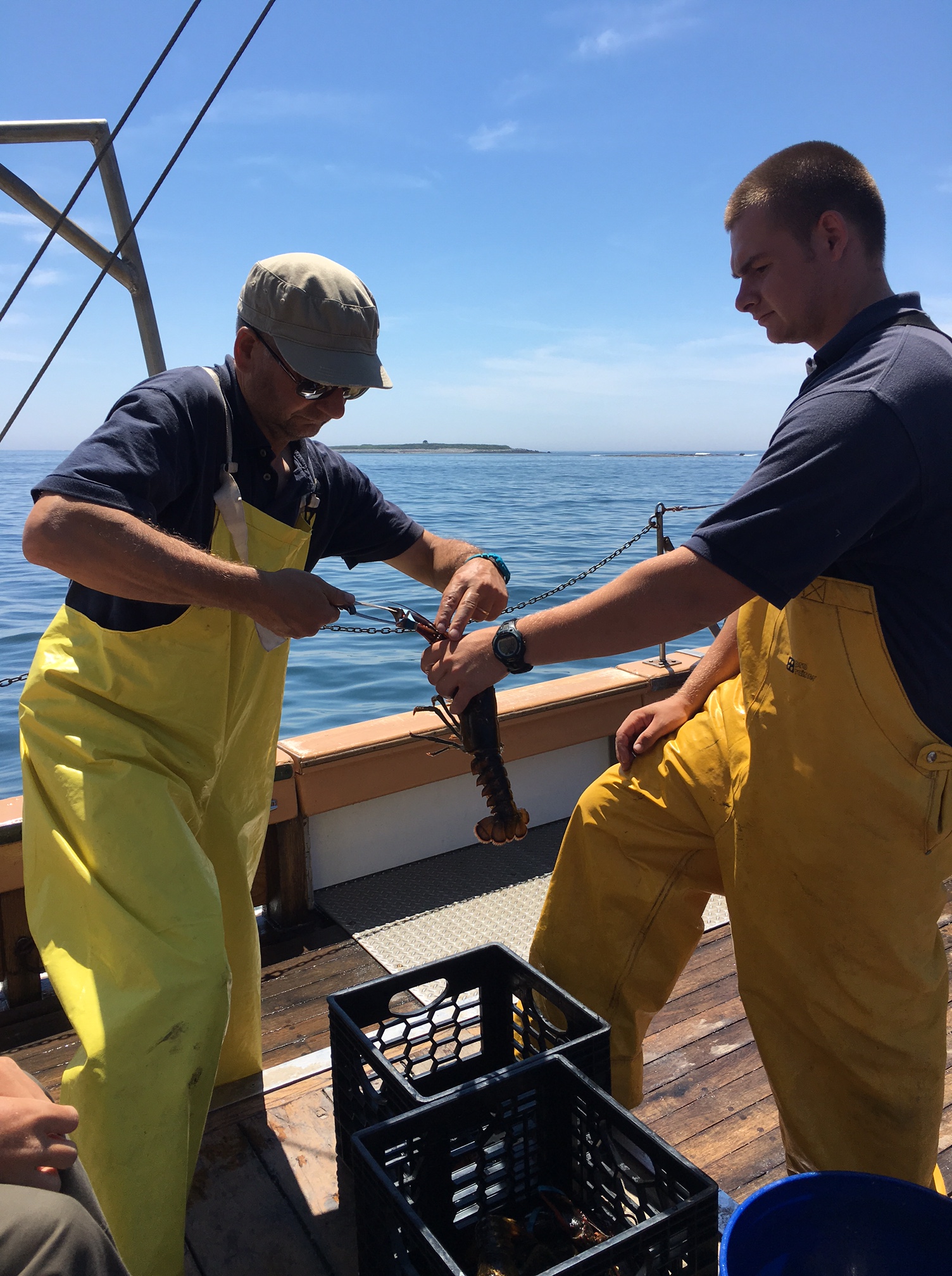 Puffin pie! | Mom's Big Year